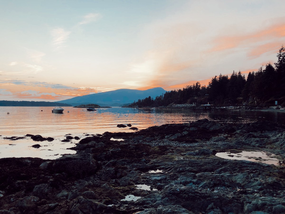 Elusive Peace – Ashley Portals